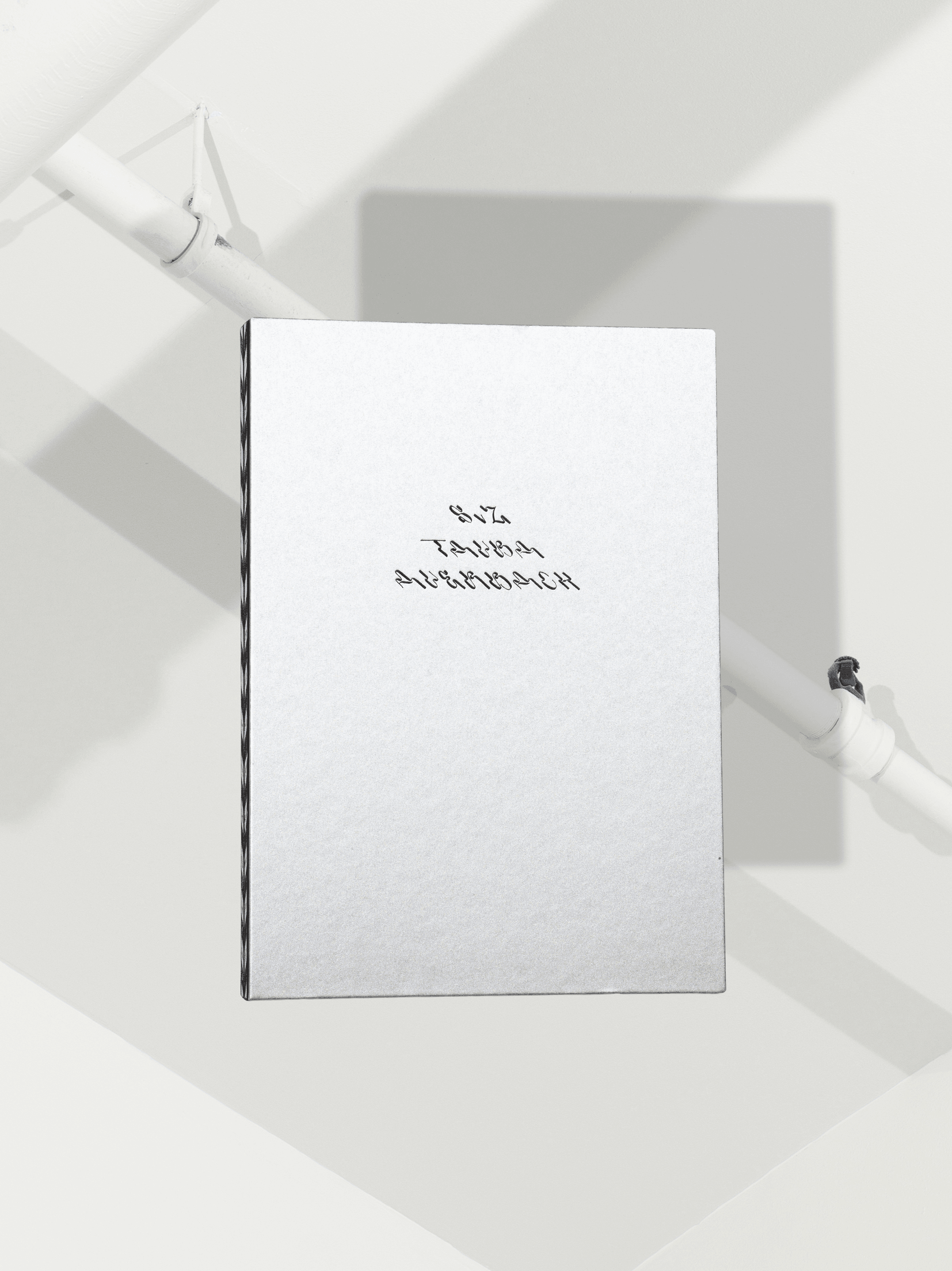 Tauba Auerbach — S v Z – Bi-Rite Studio
